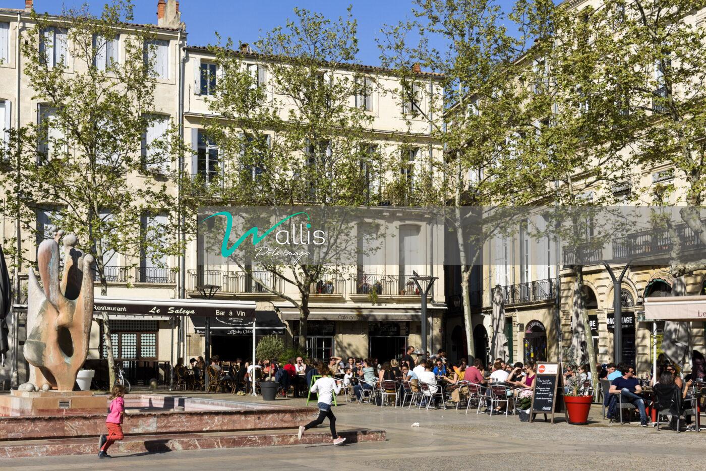 Montpellier La Place Du March Aux Fleurs Wallis montpellier-la-place-du-march-aux-fleurs-wallis